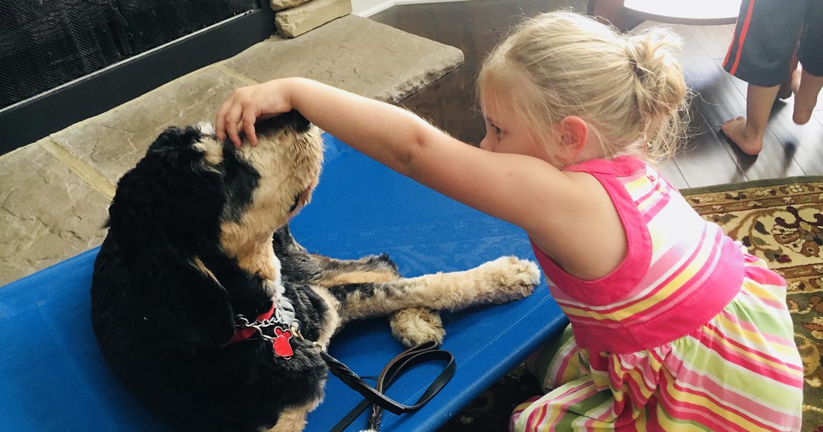 Shadow Program and Seminars - West Tennessee K9